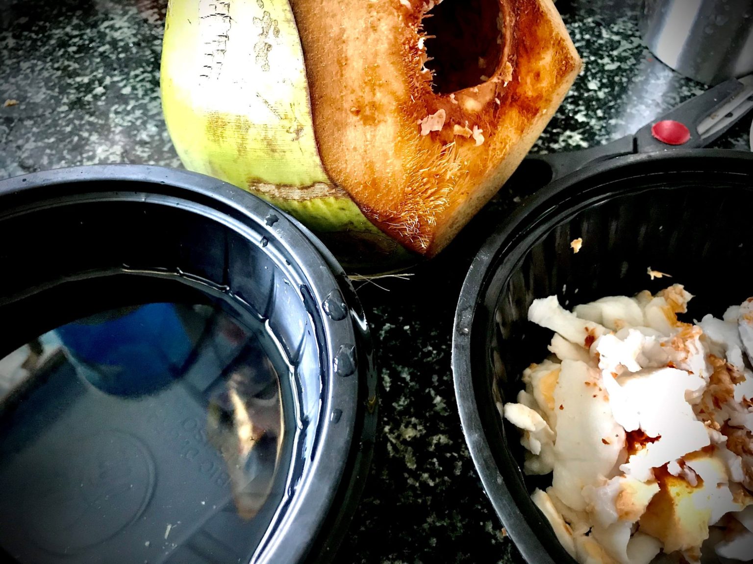 The Bengali Daab Chingri Recipe - Everydayrecipe.in